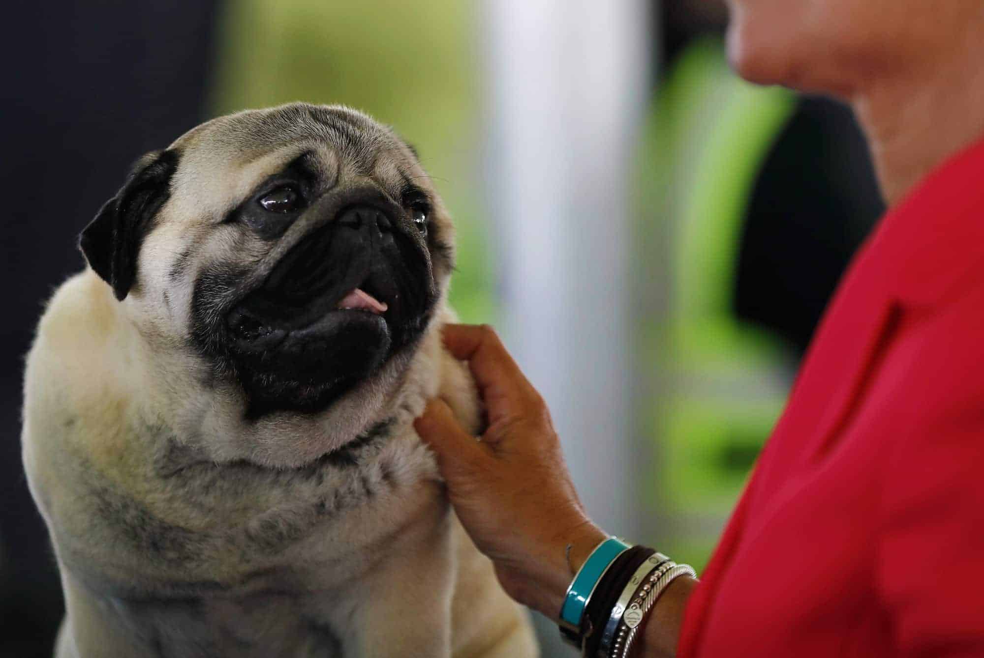 Tiesitkö? Maineikas Borderlands-kansikuva valittiin peliin, koska ...