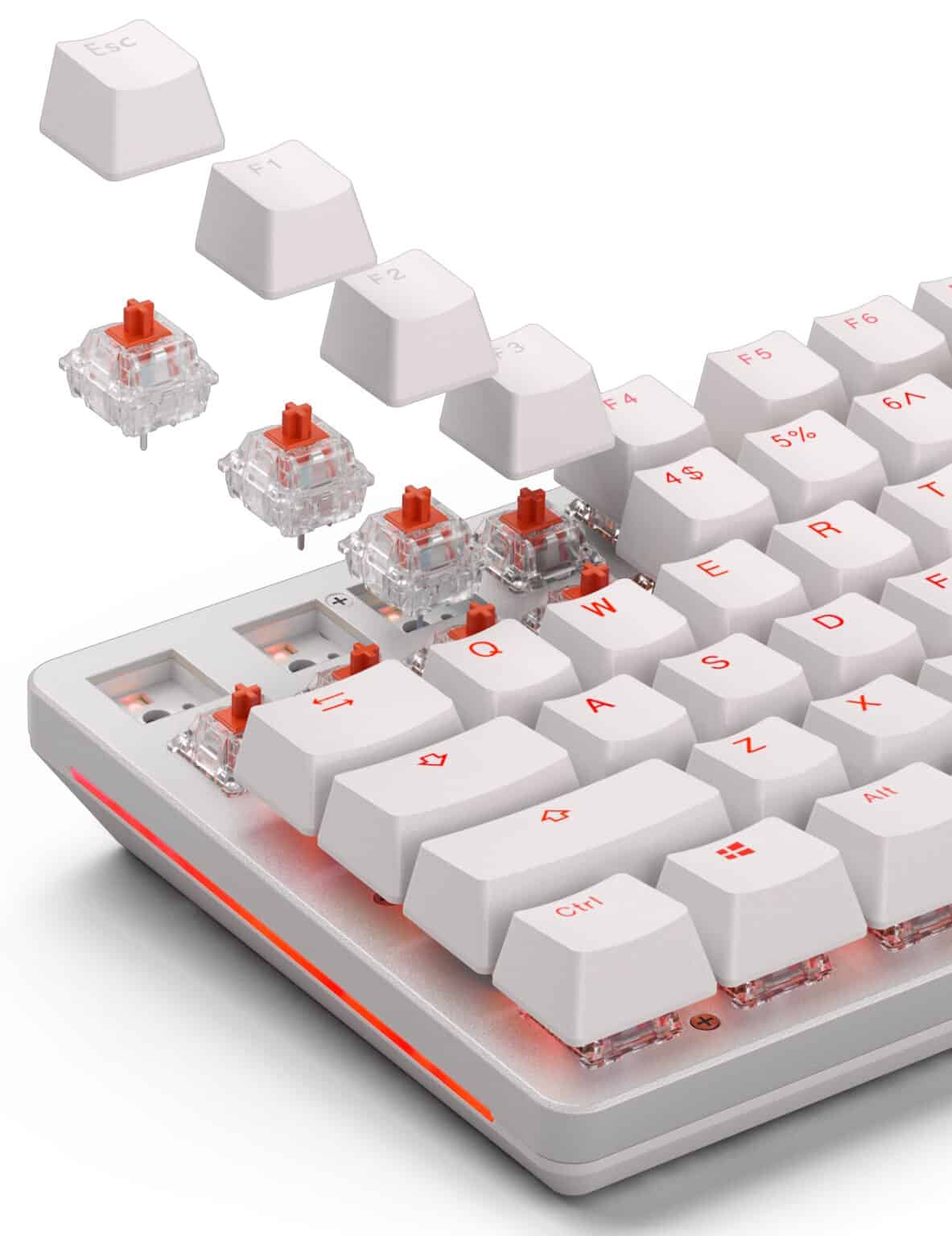 RGB-valot täydellisesti läpäisevät Glorious Fox -kytkimet saatavilla ...